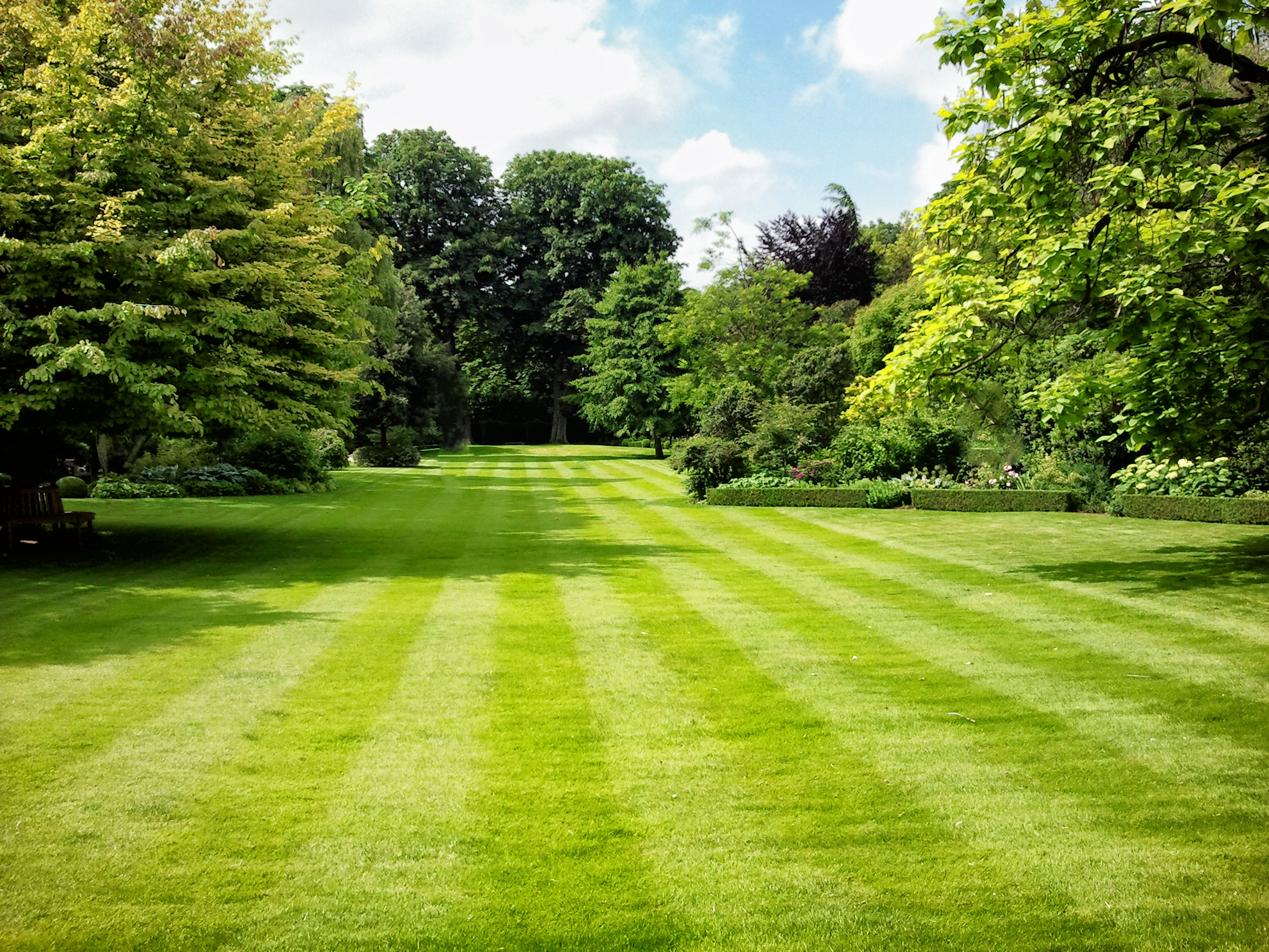 Lawn treatment made easy | Kawasaki Engines