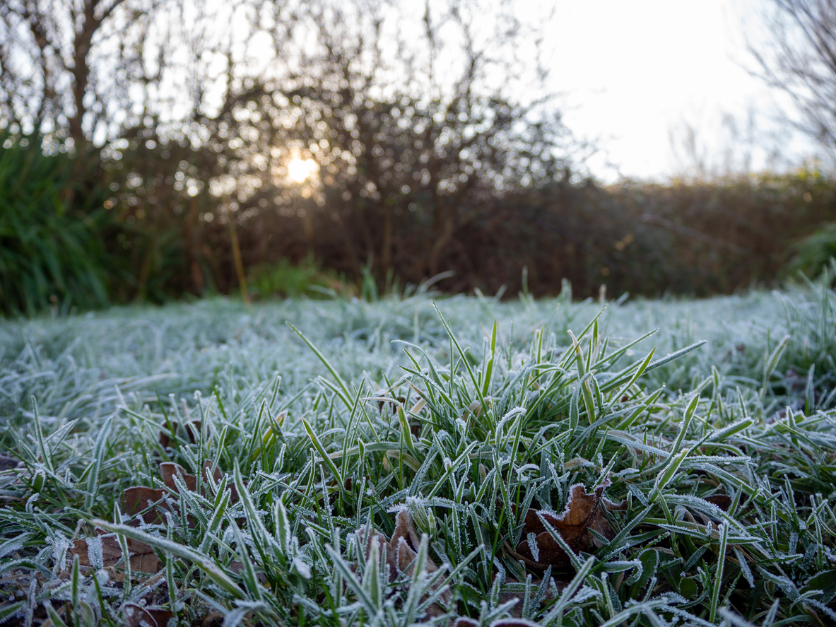 How to weatherproof a lawn | Kawasaki Engines | Kawasaki Engines